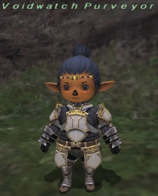 Voidwatch Purveyor (Windurst Waters) - FFXI Wiki