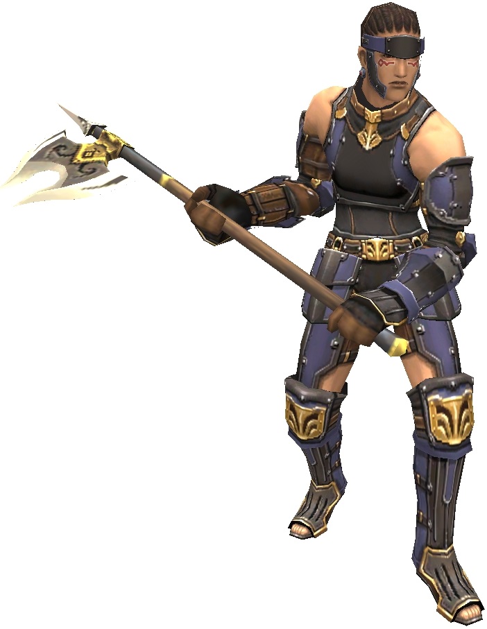 Warrior's Armor Set - FFXI Wiki