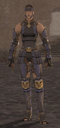 Warrior's Armor Set - FFXI Wiki