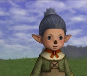 Category:Tarutaru - FFXI Wiki
