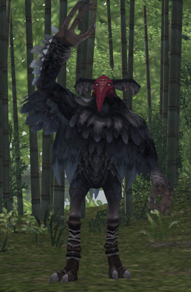 Nii Aquu - FFXI Wiki