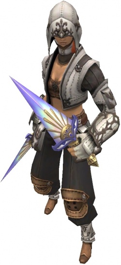 Raider's Attire Set - FFXI Wiki