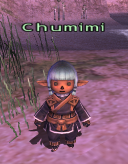 Chumimi (A) - FFXI Wiki