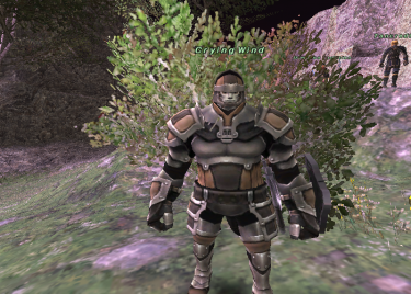 Crying Wind (A) - FFXI Wiki
